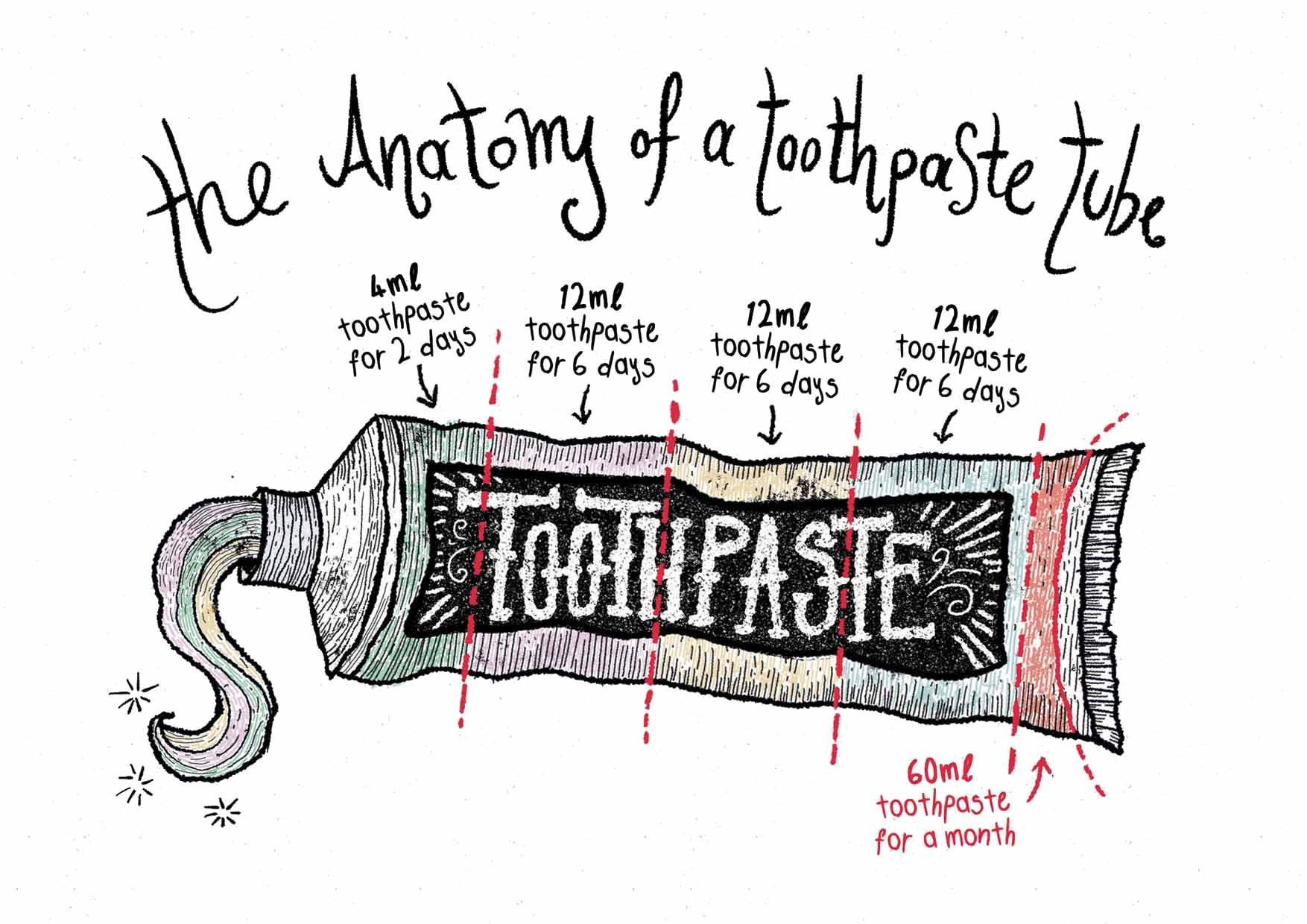 The Anatomy of a Toothpaste Tube Art Print Toiletries Bathroom Wallart ...