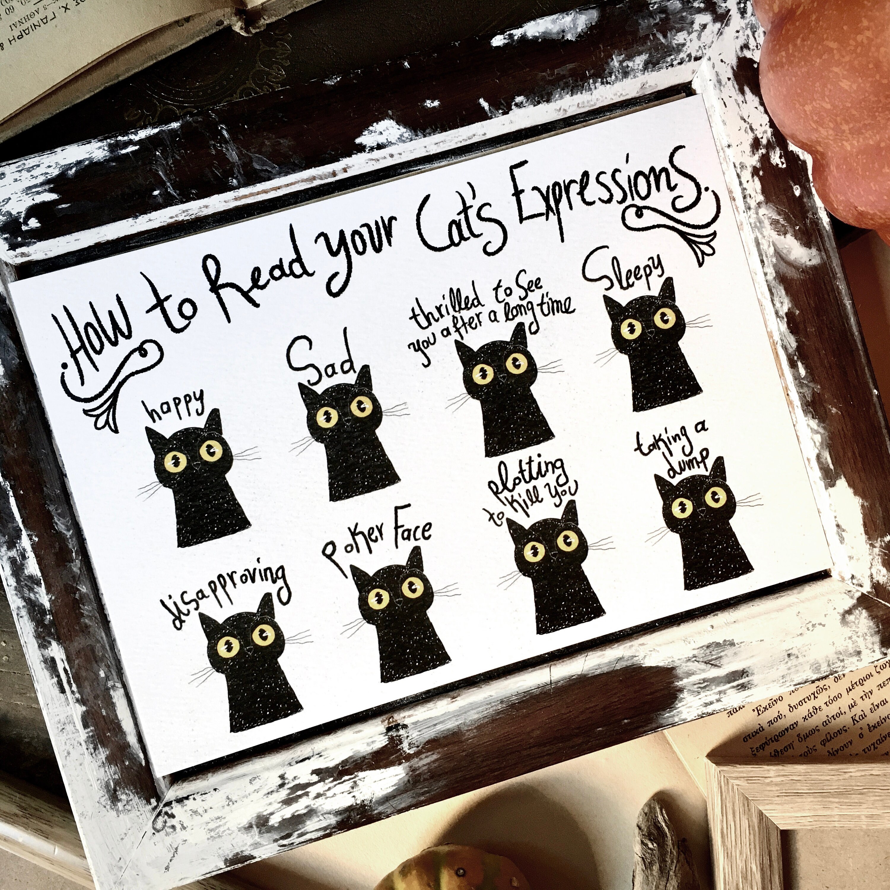 How to Read Your Cat's Expressions Signed Art Print Guide - Etsy