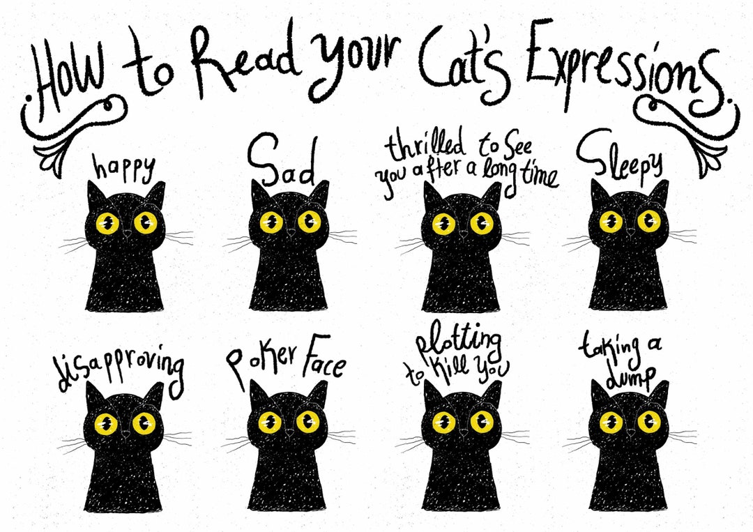 How to Read Your Cat's Expressions Signed Art Print Guide Black ...
