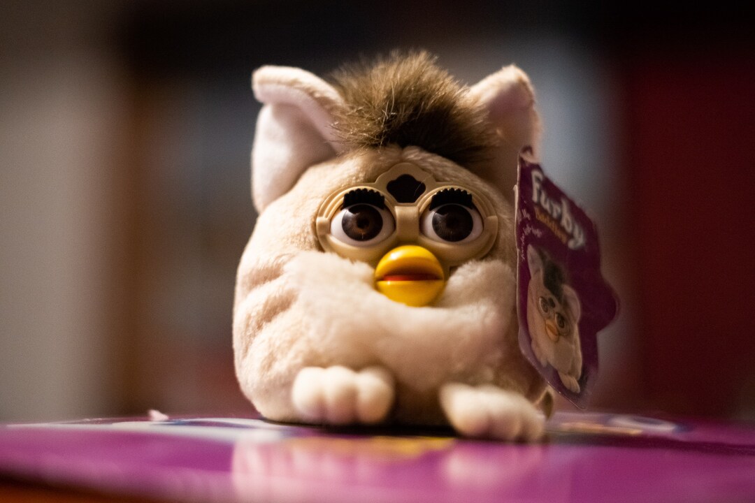 Bear Furby Buddie (or Coffee) - Etsy