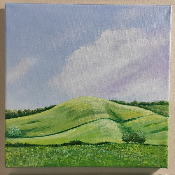 Original Hill Country Painting - Etsy