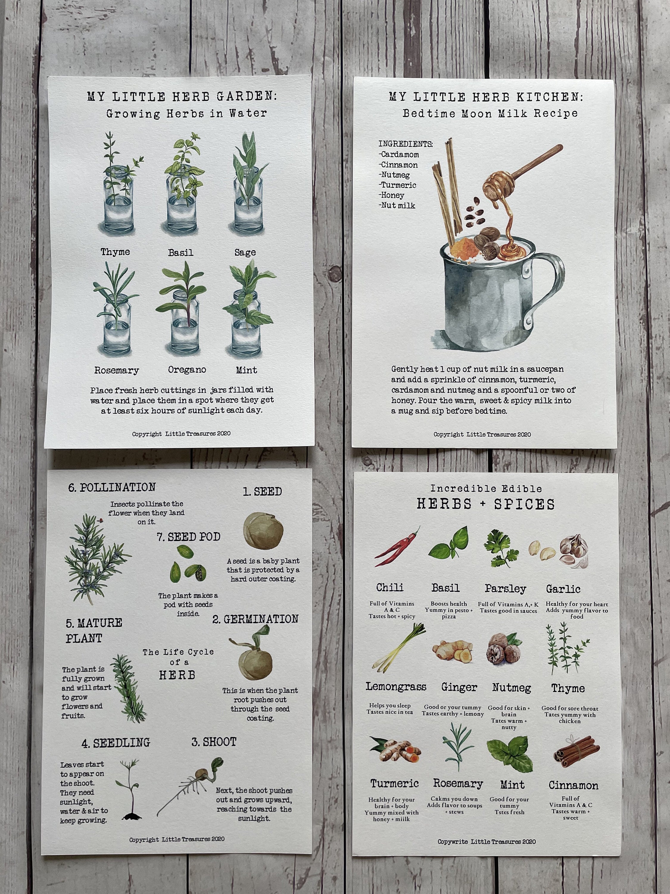 Herbs and Spices Learning Bundle - 12 X Watercolor Flashcards ...