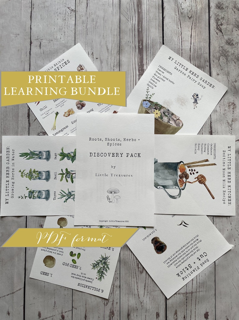 Herbs and Spices Learning Bundle - 12 X Watercolor Flashcards ...
