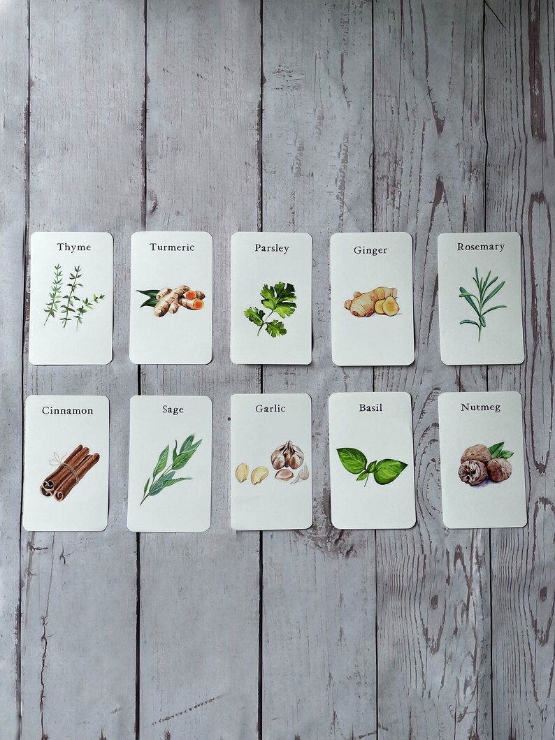 Herbs and Spices Learning Bundle - 12 X Watercolor Flashcards ...