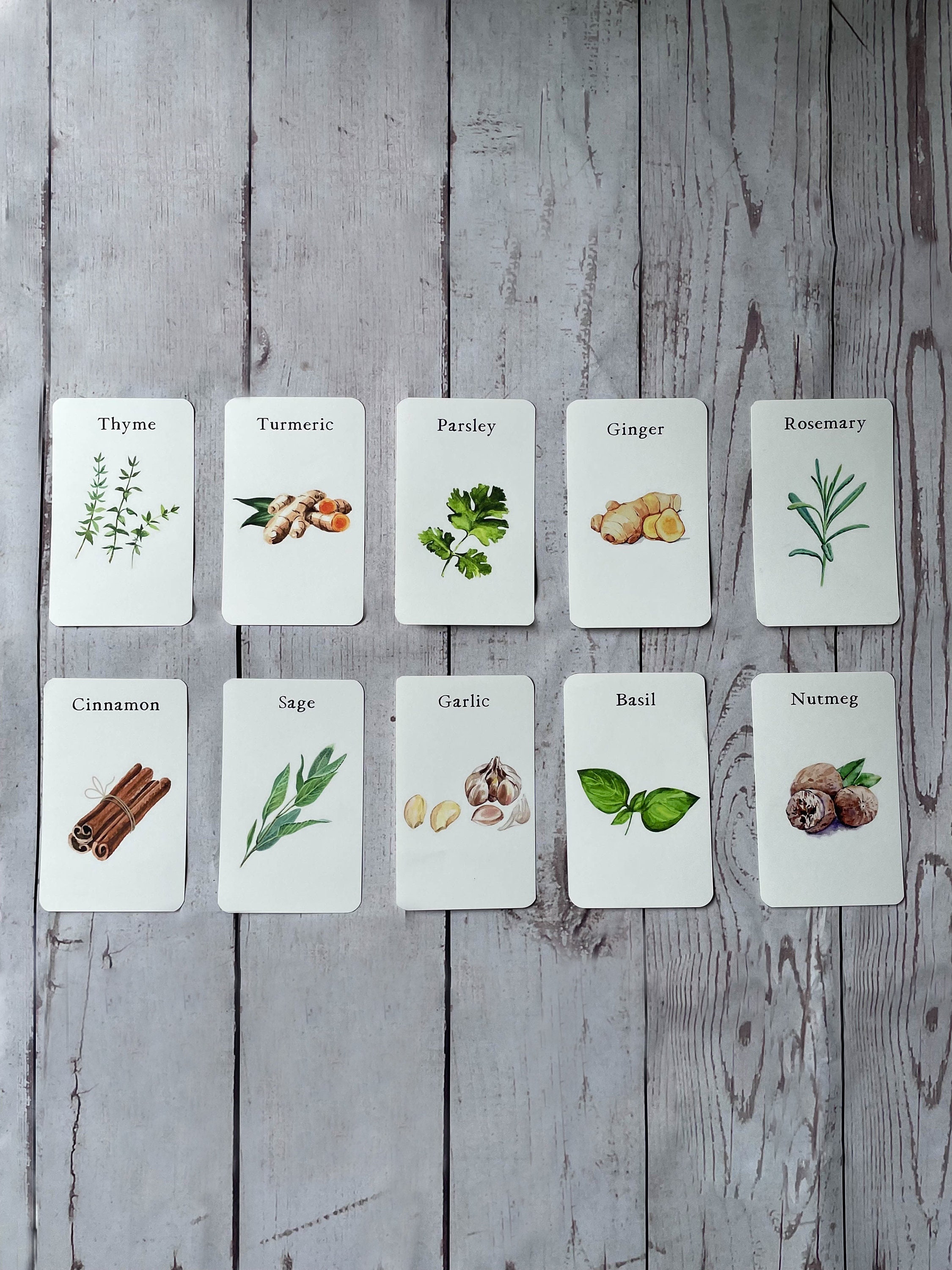 Herbs and Spices Learning Bundle - 12 X Watercolor Flashcards ...