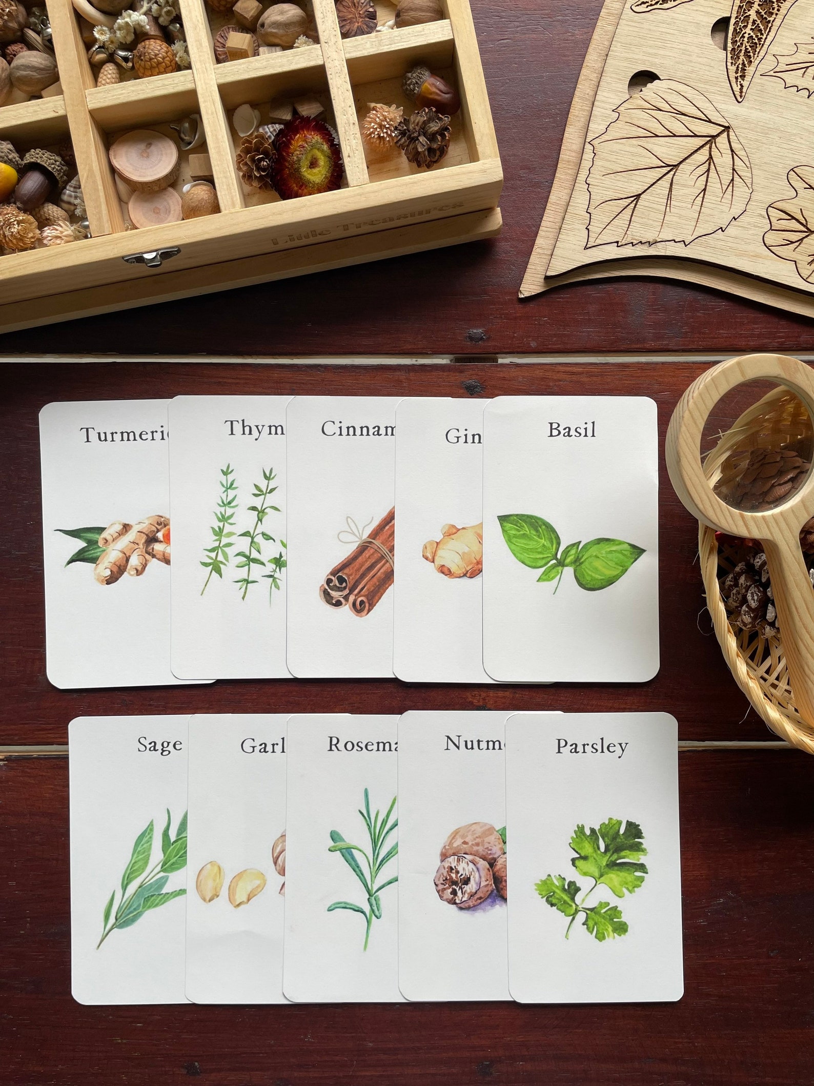 Herb Flash Cards for Kids Printable Nature Study & - Etsy