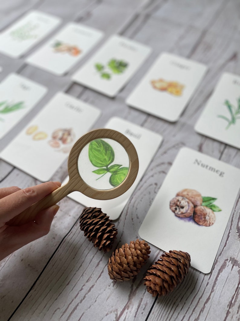 Herb Flash Cards for Kids - Printable Nature Study & Homeschooling ...