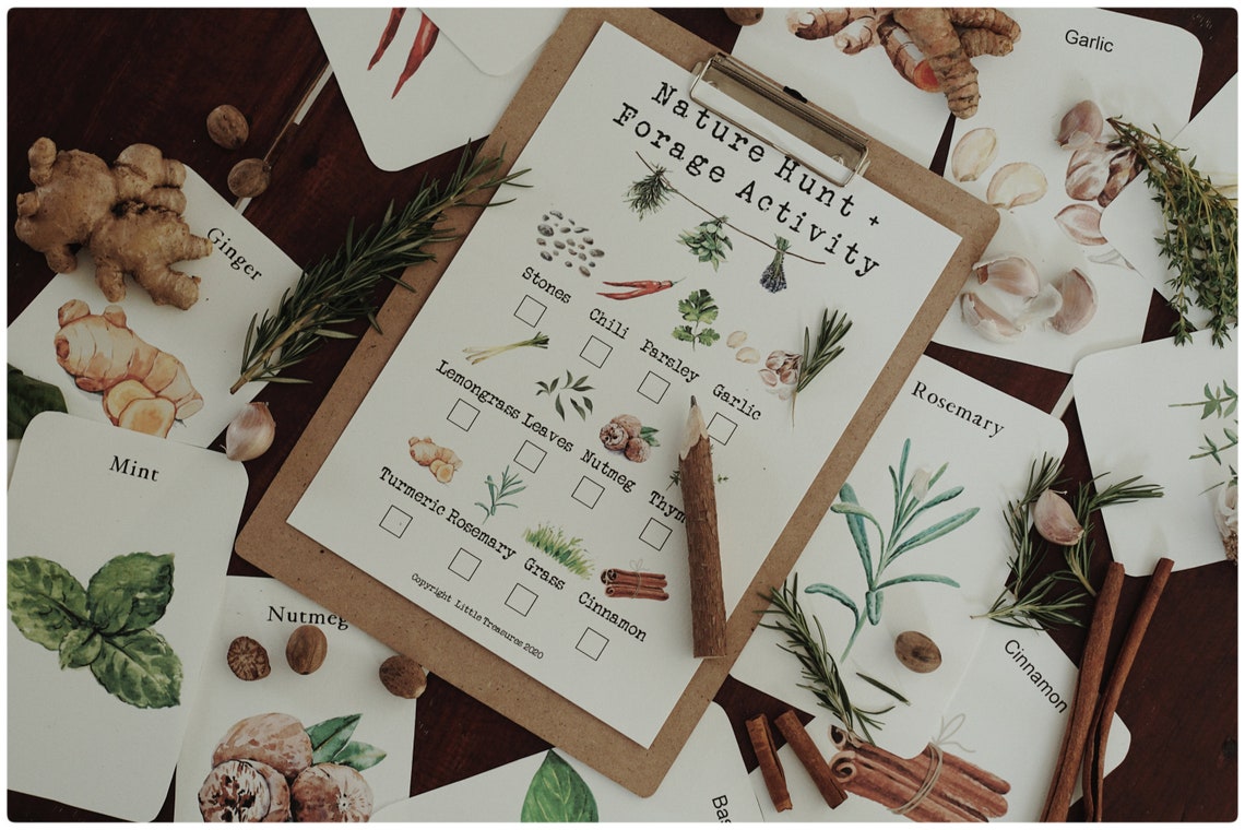 Herb Flash Cards for Kids - Printable Nature Study & Homeschooling ...