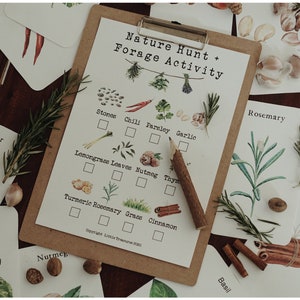 Herbs and Spices Learning Bundle - 12 X Watercolor Flashcards ...