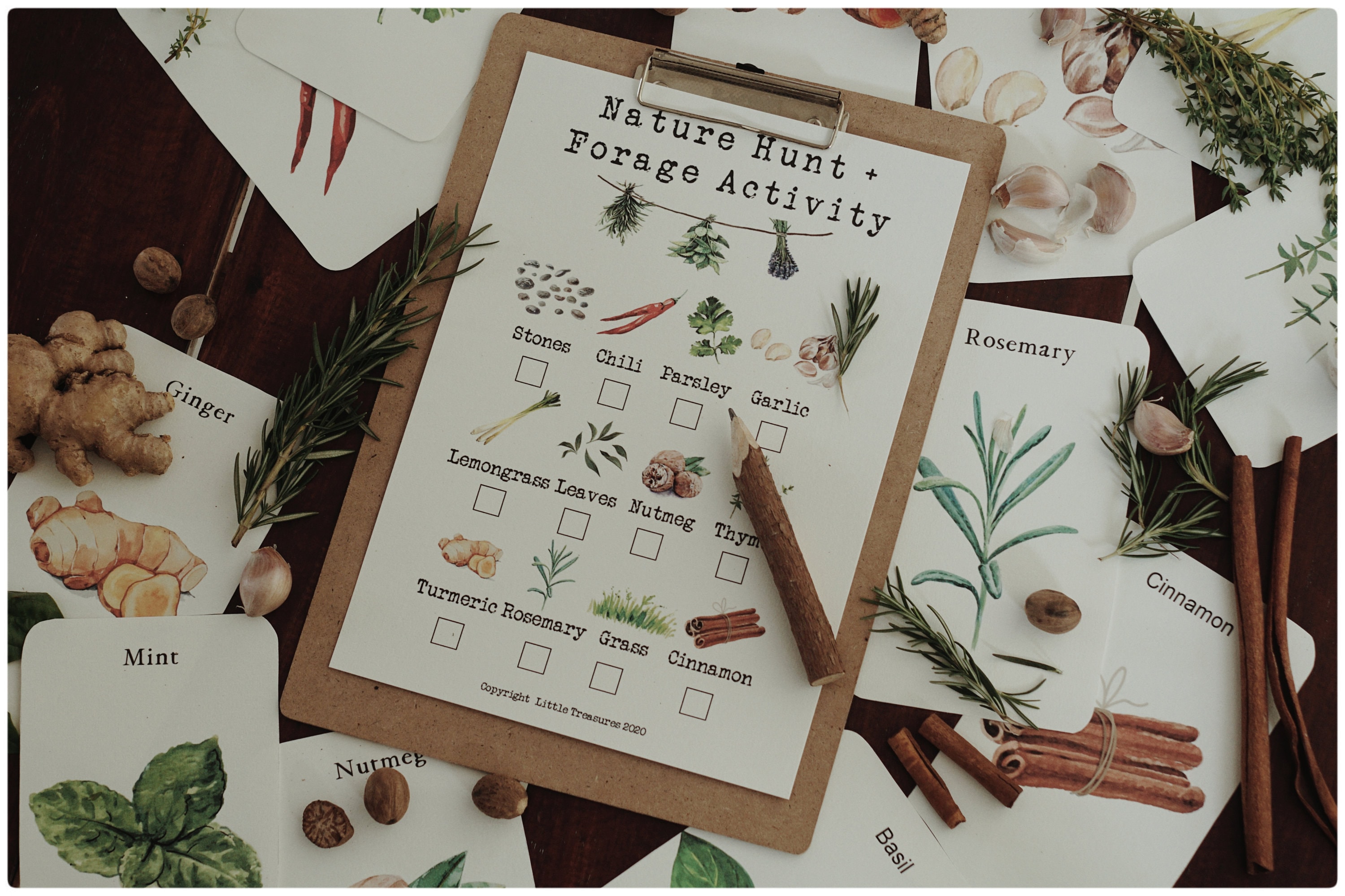 Herbs and Spices Learning Bundle 12 X Watercolor Flashcards - Etsy UK