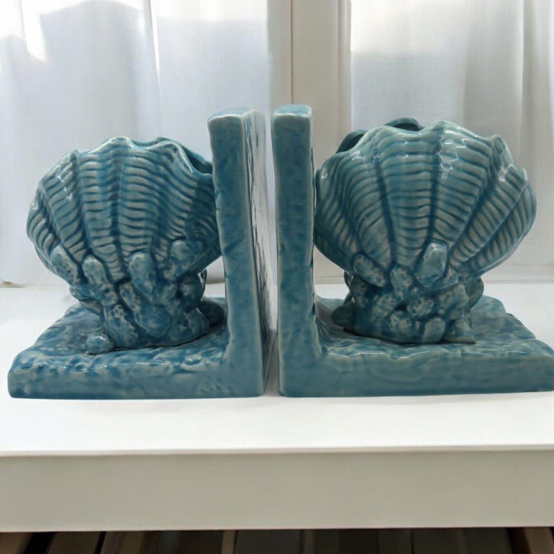 Clam Shell Planter - Etsy