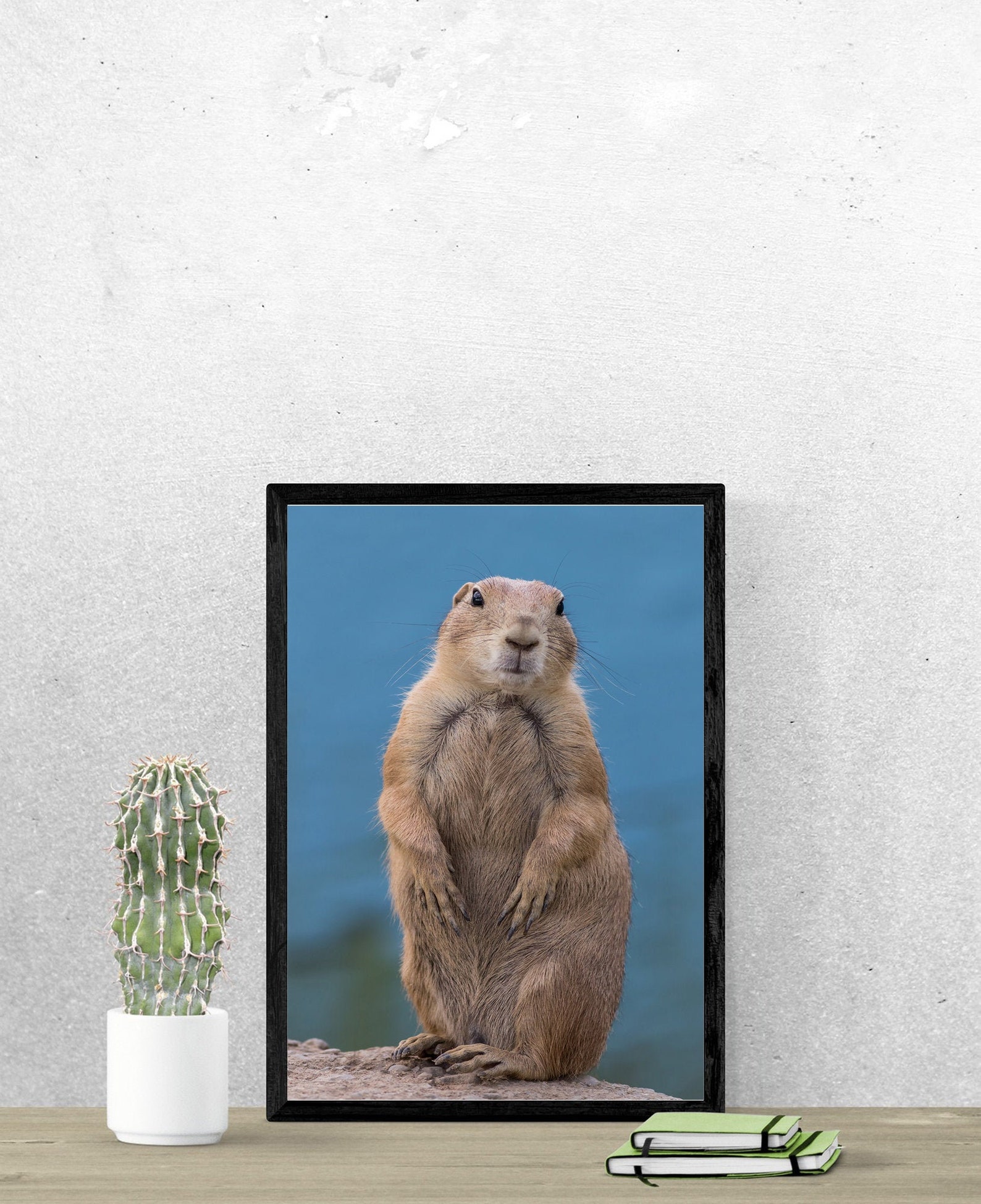 Prairie Dog Digital Photo | Prairie Dog Wall Art Print, Digital ...