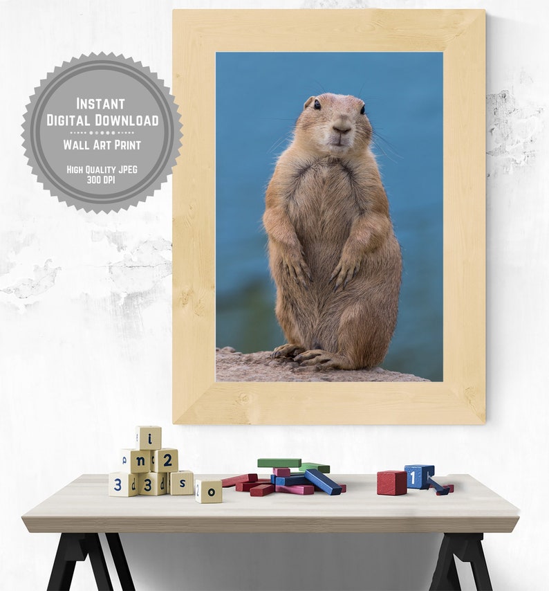 Prairie Dog Digital Photo | Prairie Dog Wall Art Print, Digital ...