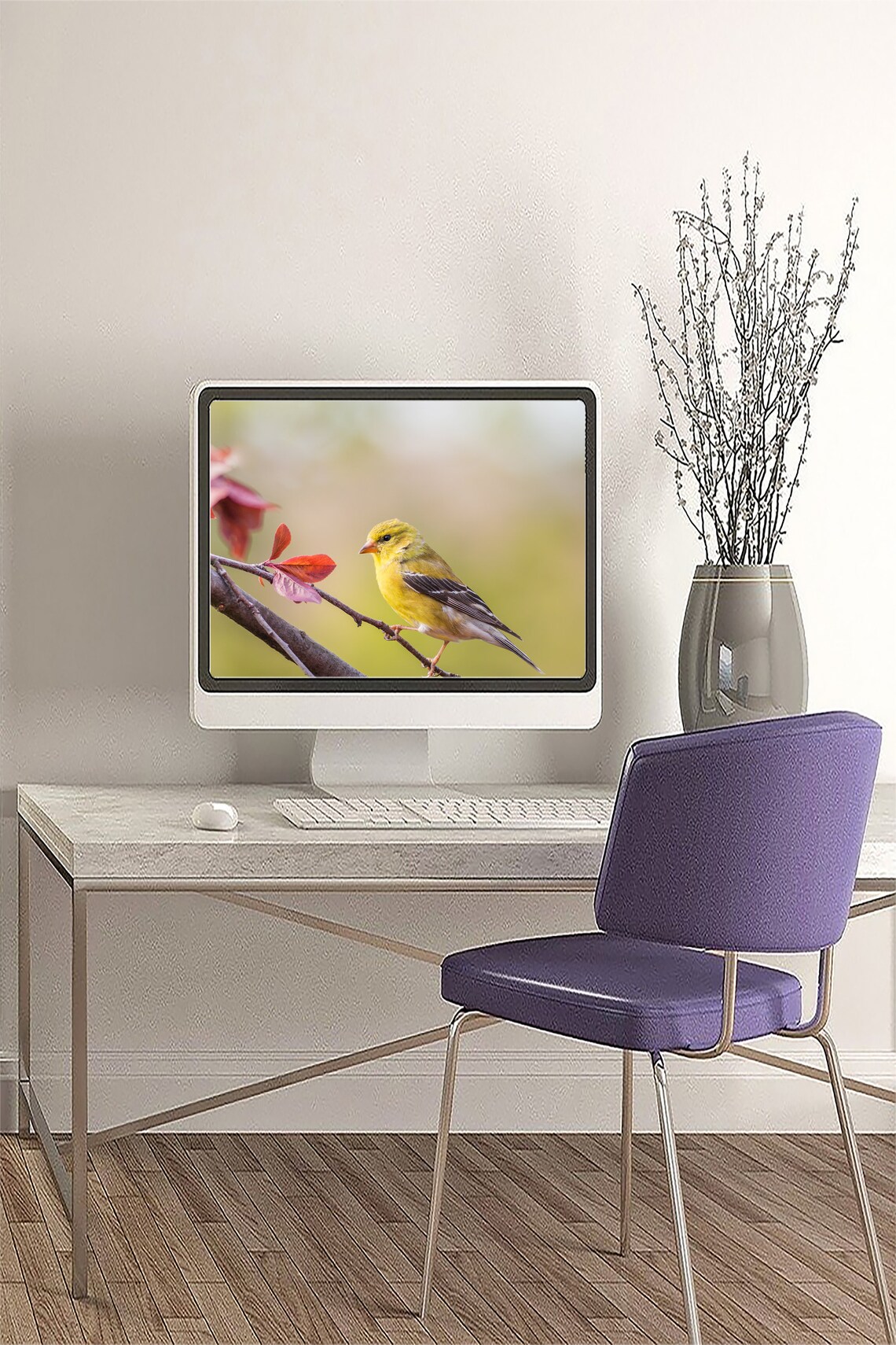 Eastern Goldfinch Digital Photo | Goldfinch Wall Art Print, Yellow Bird ...