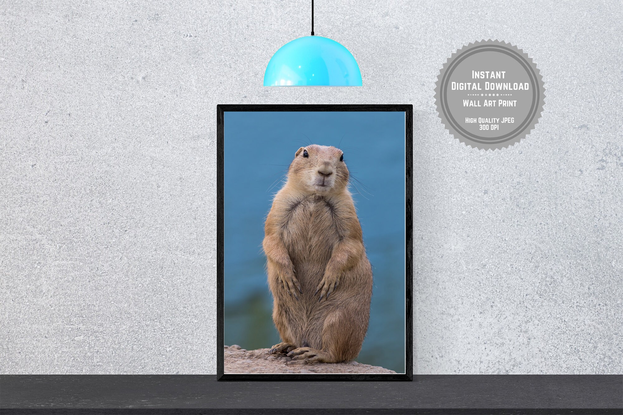 Prairie Dog Digital Photo | Prairie Dog Wall Art Print, Digital ...