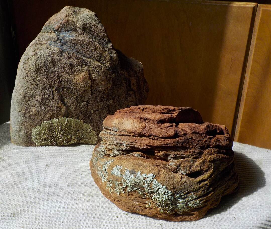 2 Sandstone Staging Diorama Rocks With Lichen Moss MUCH Visual - Etsy