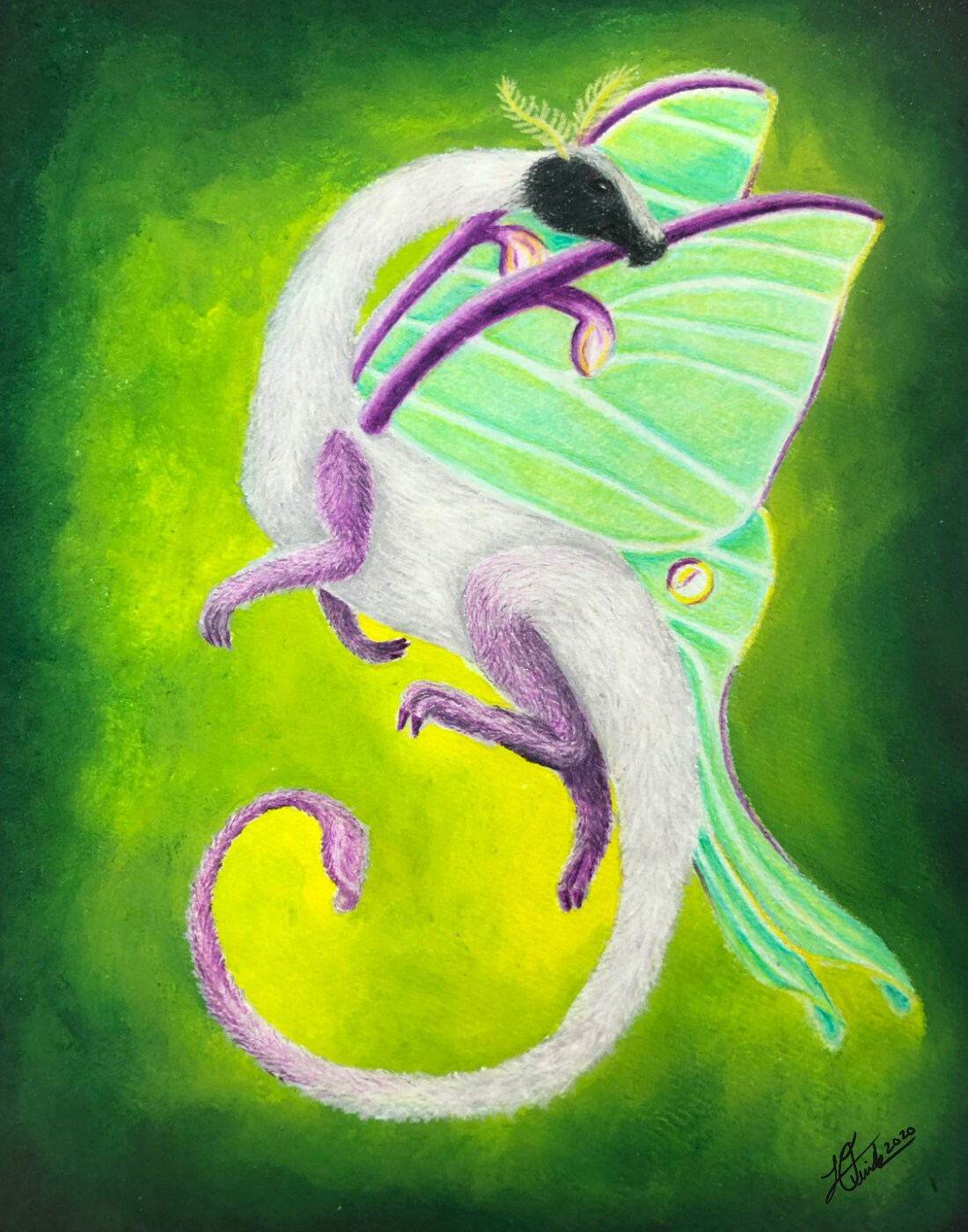 Lunar Moth Dragon - Etsy