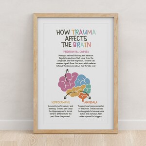 How Trauma Affects the Brain Poster, Positive Affirmations, Therapy ...