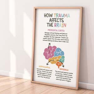 How Trauma Affects the Brain Poster, Positive Affirmations, Therapy ...