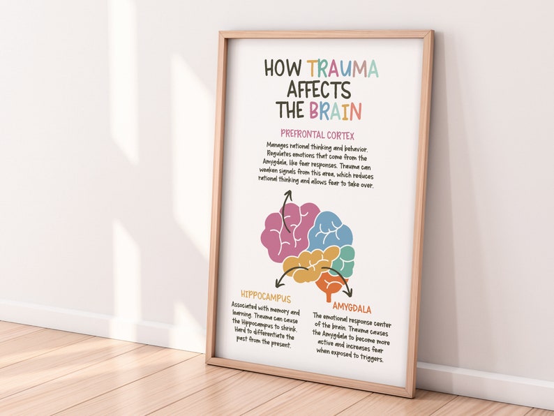 How Trauma Affects the Brain Poster, Positive Affirmations, Therapy ...