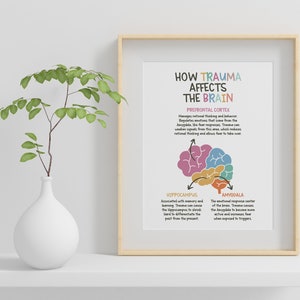 How Trauma Affects the Brain Poster Positive Affirmations - Etsy