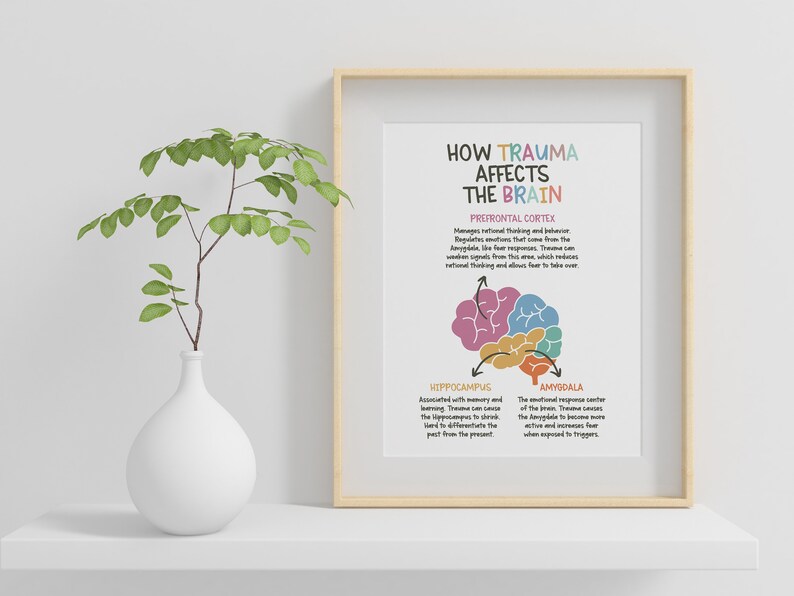 How Trauma Affects the Brain Poster Positive Affirmations - Etsy