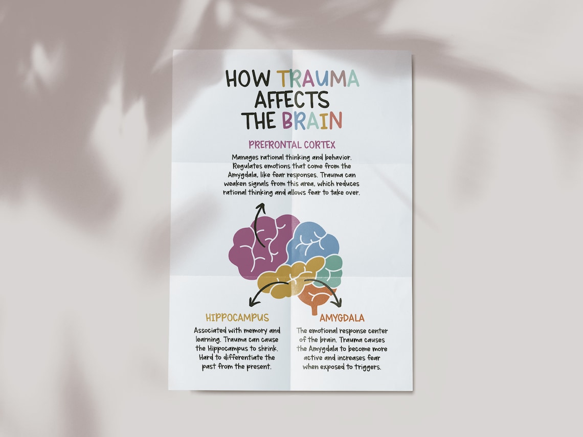How Trauma Affects the Brain Poster Positive Affirmations - Etsy