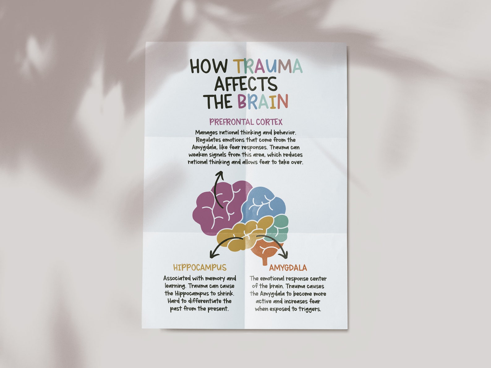 How Trauma Affects the Brain Poster Positive Affirmations - Etsy