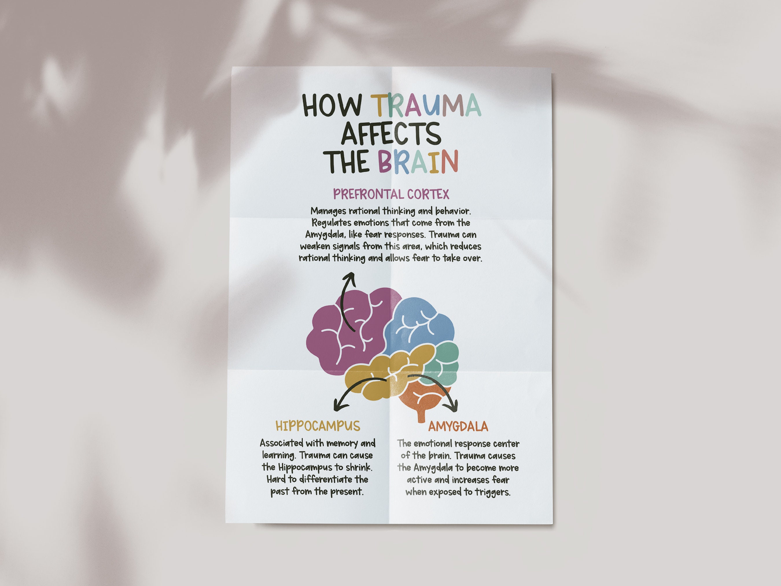 How Trauma Affects the Brain Poster Positive Affirmations - Etsy