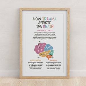 How Trauma Affects the Brain Poster Positive Affirmations - Etsy
