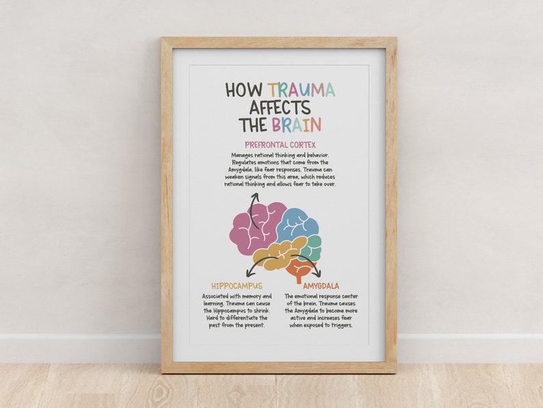How Trauma Affects the Brain Poster Positive Affirmations - Etsy