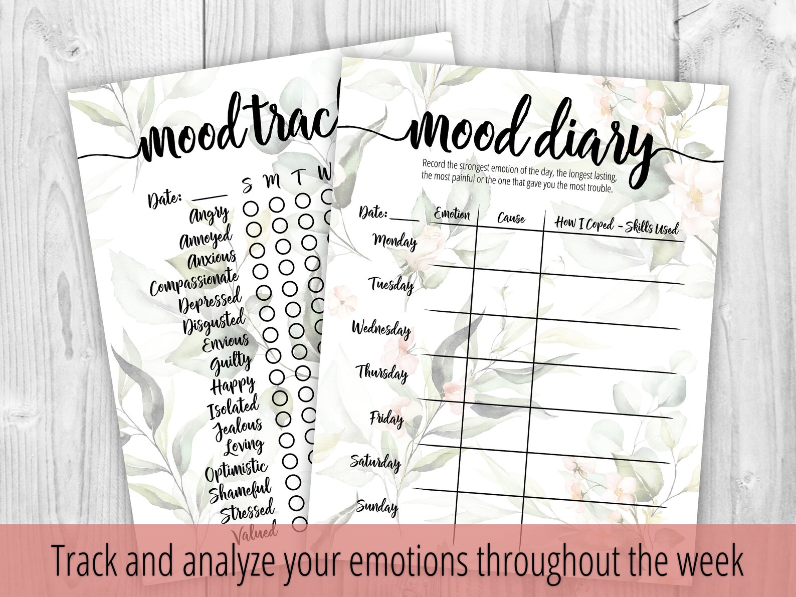 Emotions Journal DBT Skills Mood Journal Self Care - Etsy