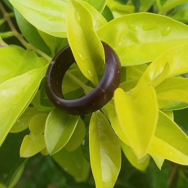 Coconut Shell - Etsy