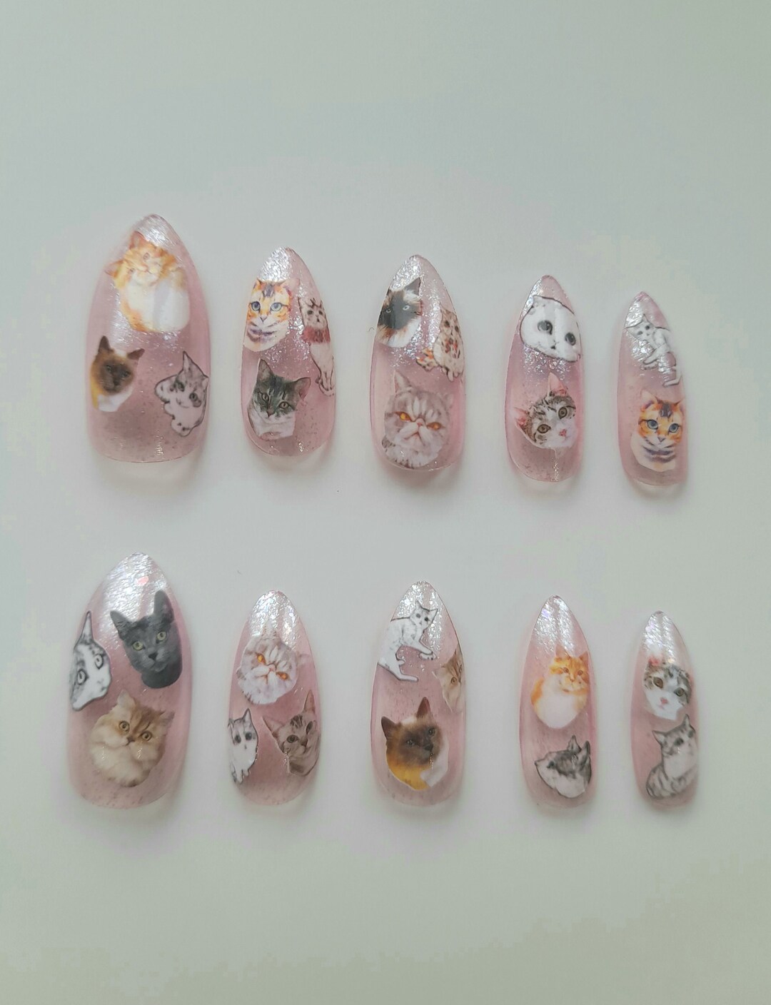 Cat Fake Nails in Clear Pink Stiletto - Medium Length - Etsy