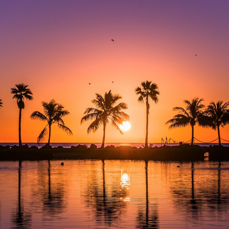 Florida Photography - Etsy