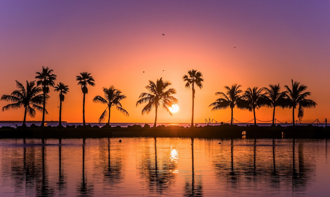 Miami Sunrise Photography Print: Florida Beach Palm Trees (digital ...