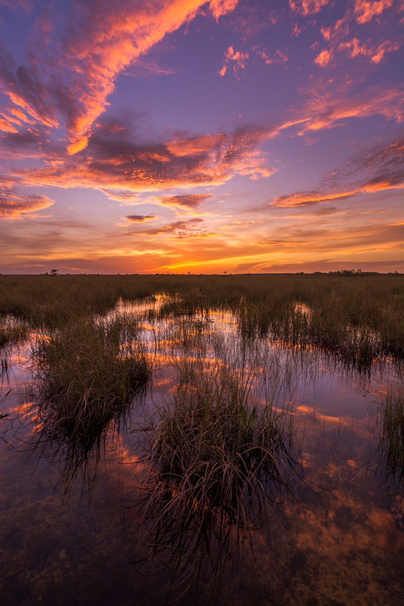 Everglades Sunset Photography Print: Florida Landscape (digital ...