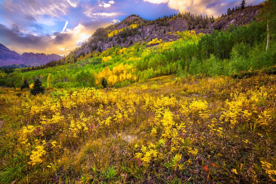 Colorado Autumn Aspen Mountain Landscape Canvas Print - Etsy