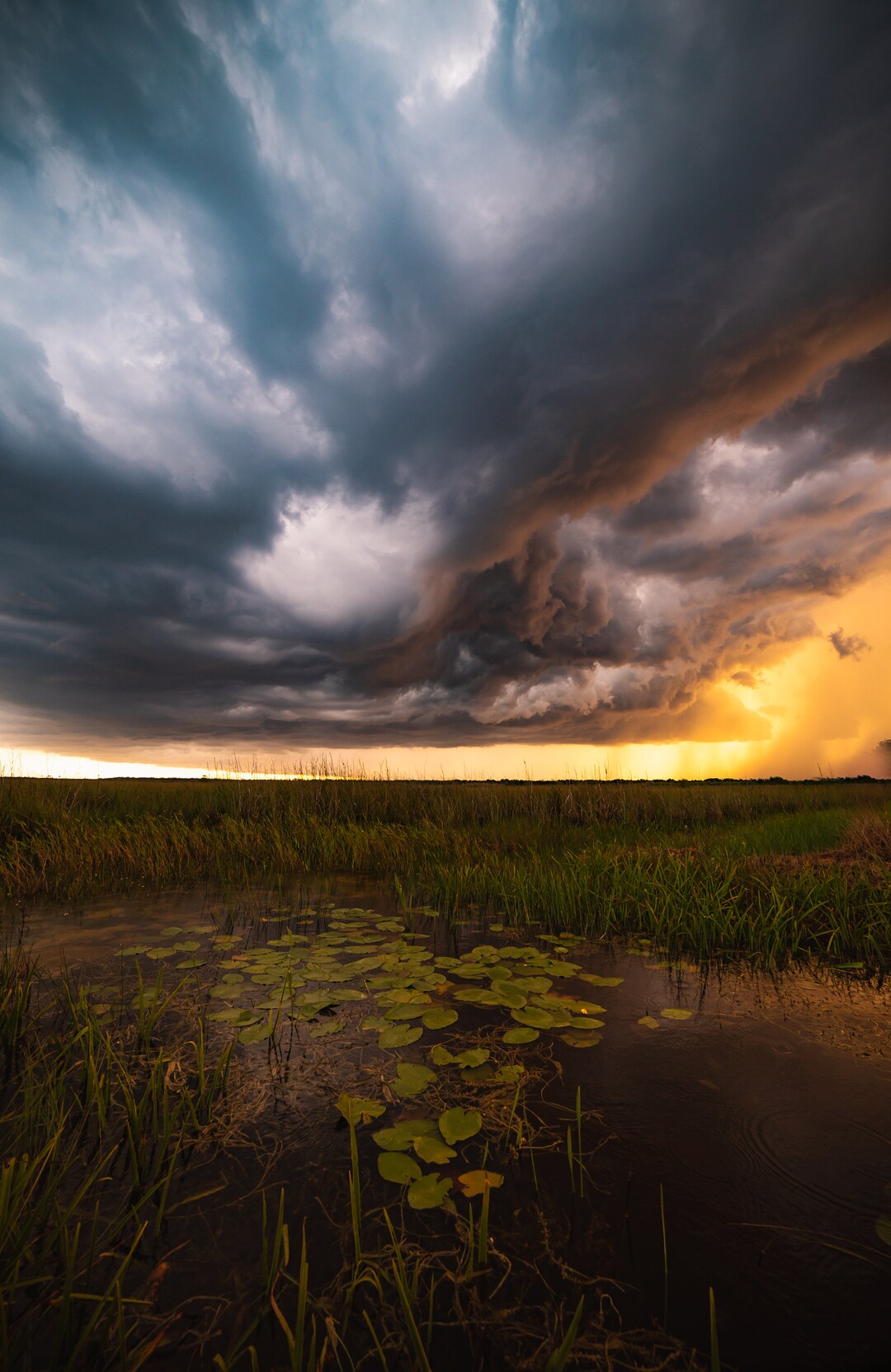 Everglades Storm Canvas Print: Florida National Park Photography - Etsy