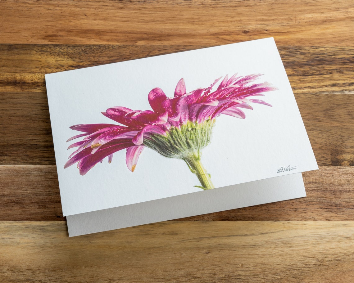 Note Cards for a Personal Touch, Greeting Cards With Flowers - Etsy