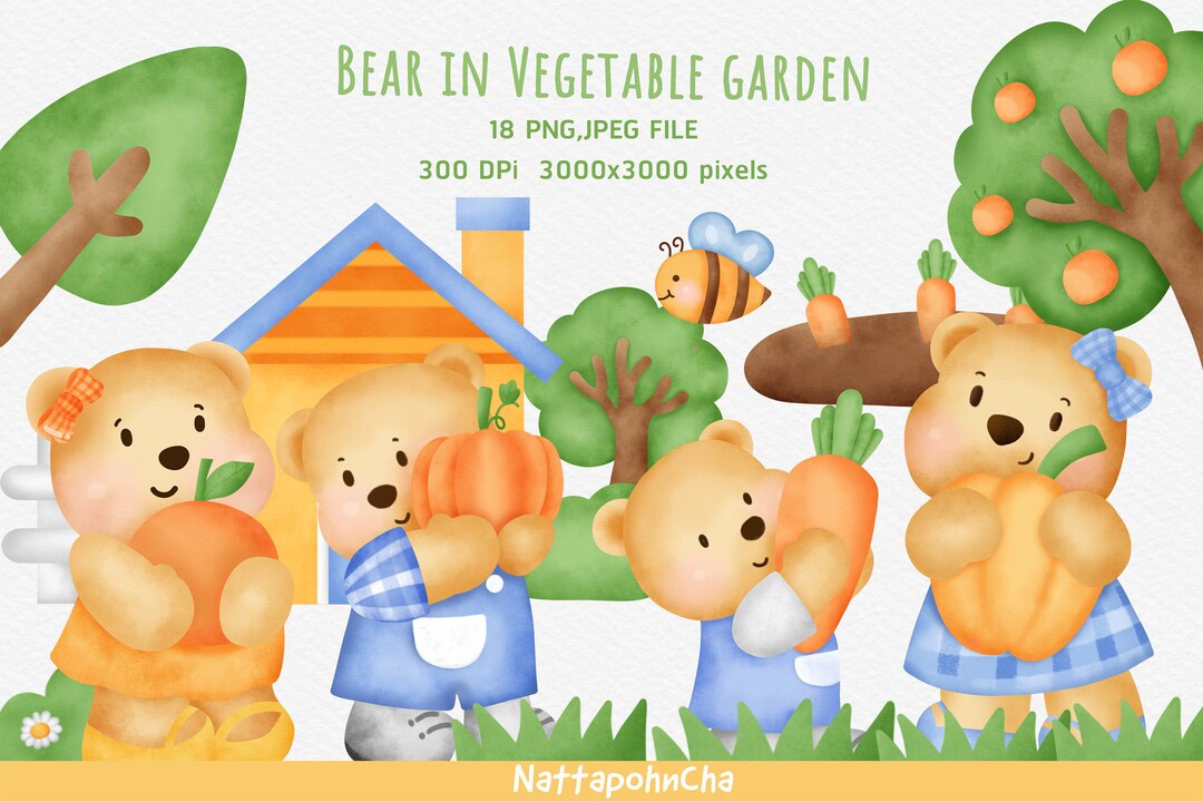 Watercolor Bear Clipart: Baby Shower Invitation Graphics (PNG, JPG) - Etsy