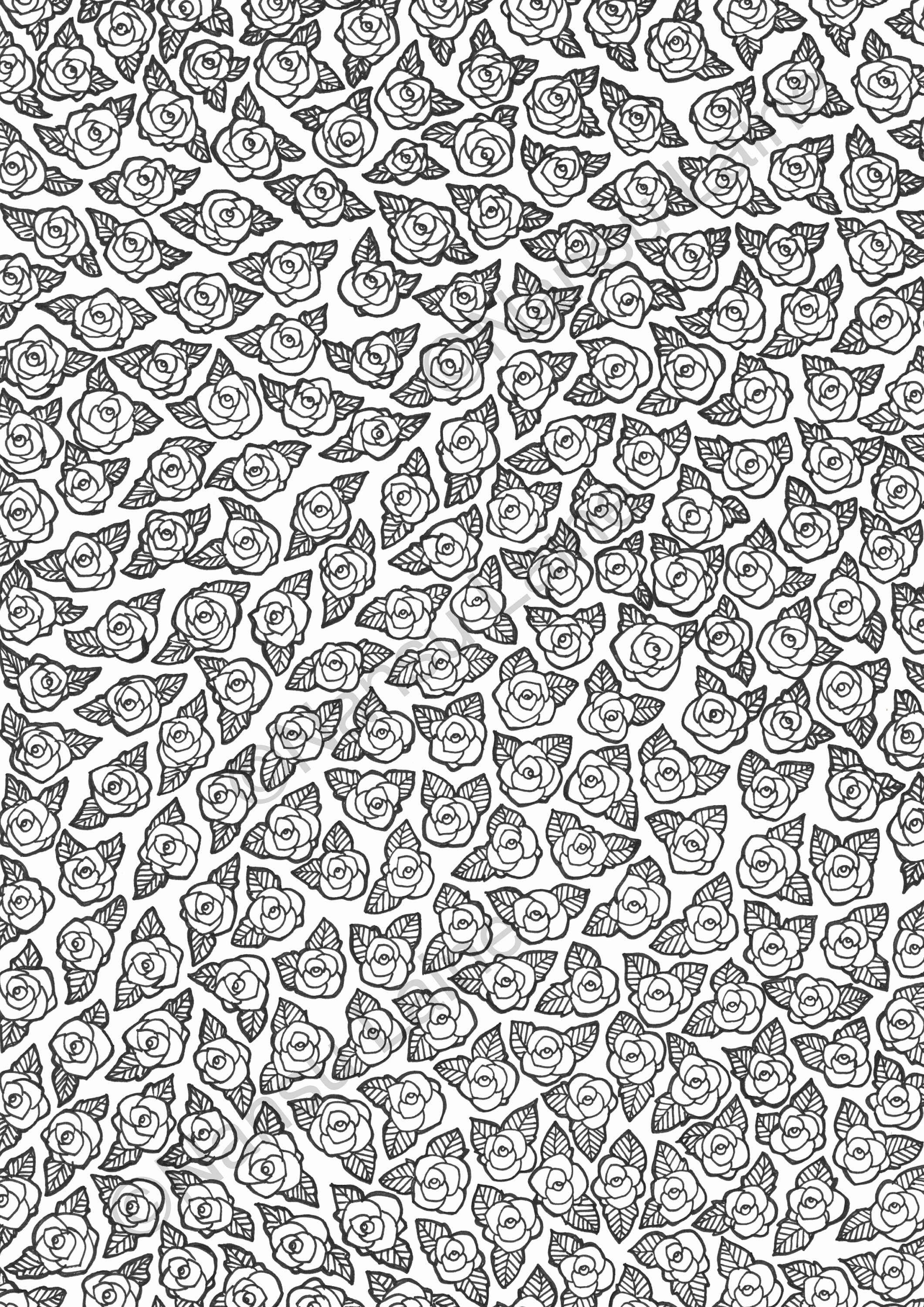 Rose Pattern Printable Colouring Page. Adult Colouring Page. Instant ...