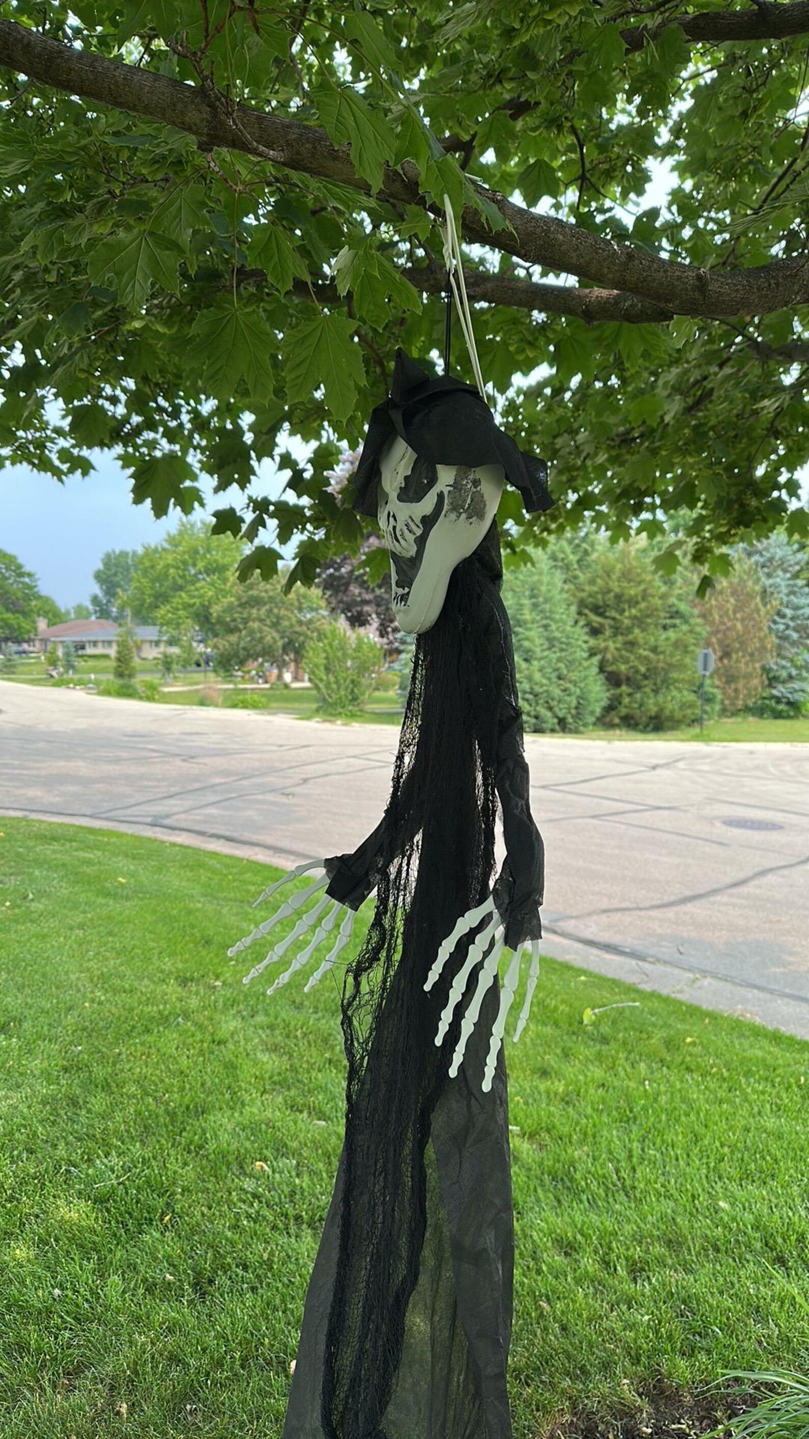 Halloween Skeleton Motion Activated Spooky Decoration - Etsy