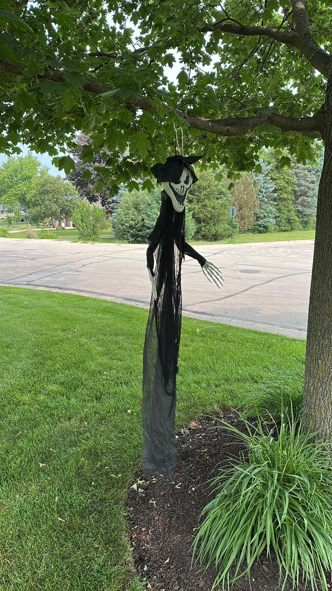 Halloween Skeleton Motion Activated Spooky Decoration - Etsy