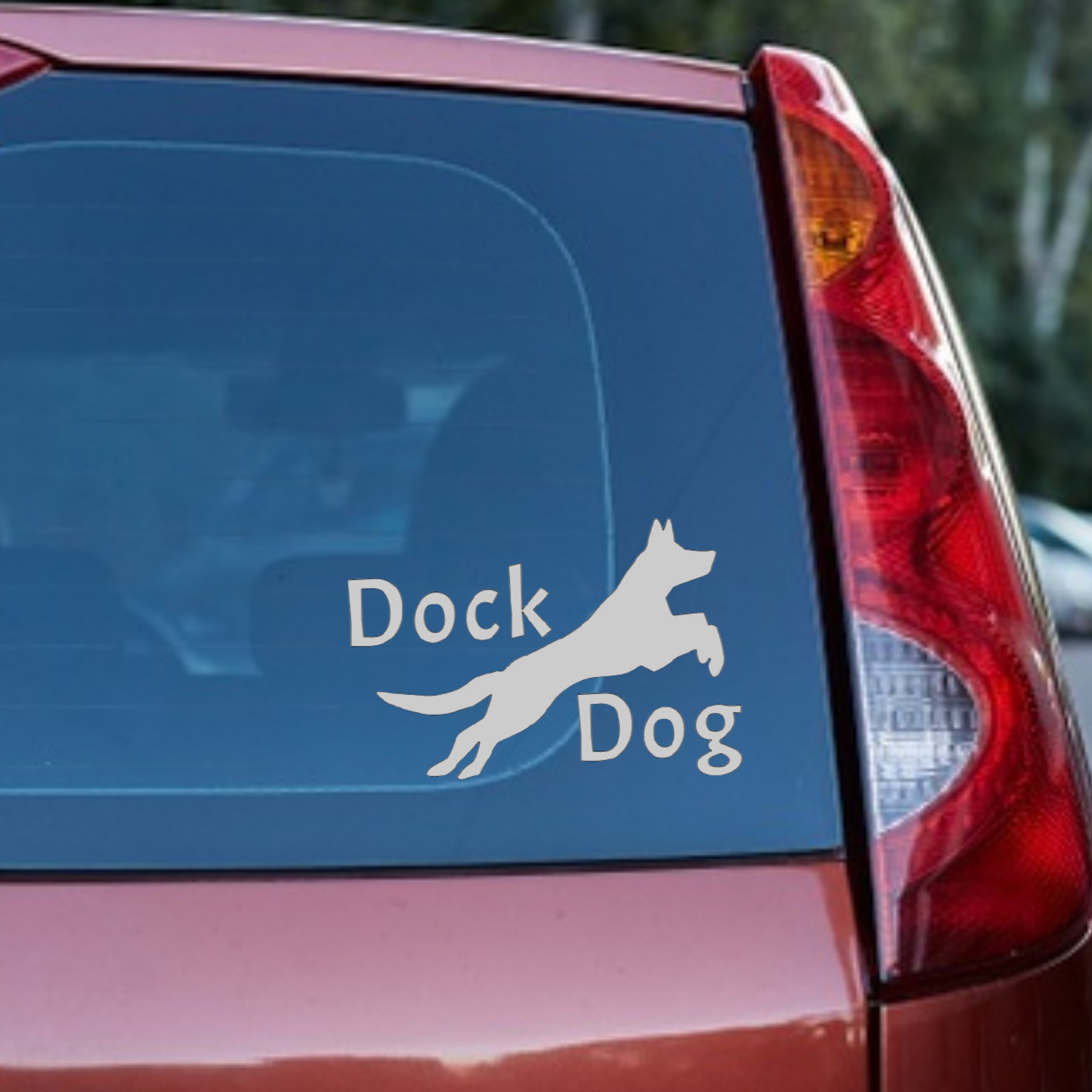 Dock Dog Dock Diving SVG PNG JPG Digital Download Cricut Silhouette for ...