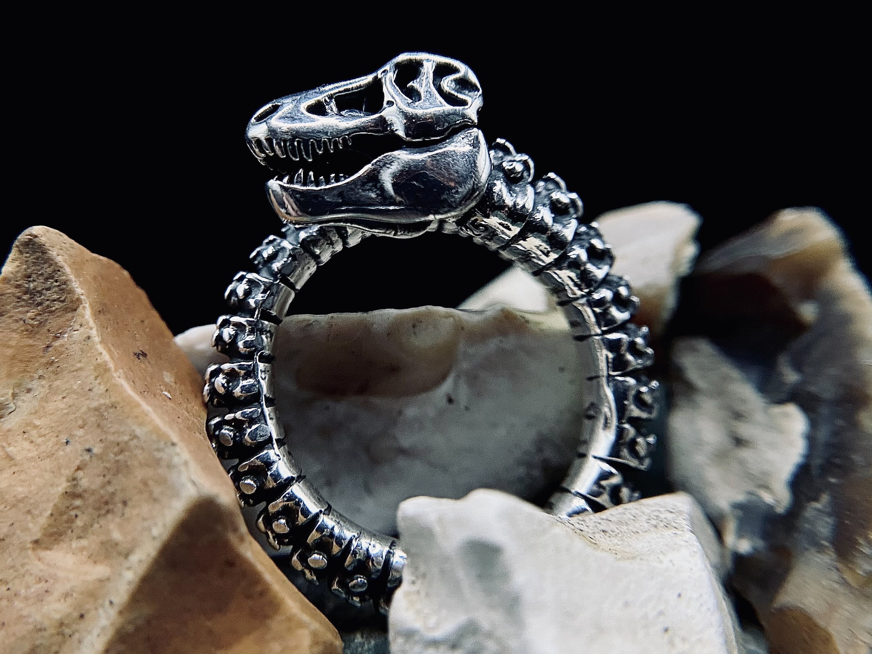 Adjustable T-Rex Fossil Ring Sterling Silver Dinosaur Ring | Etsy