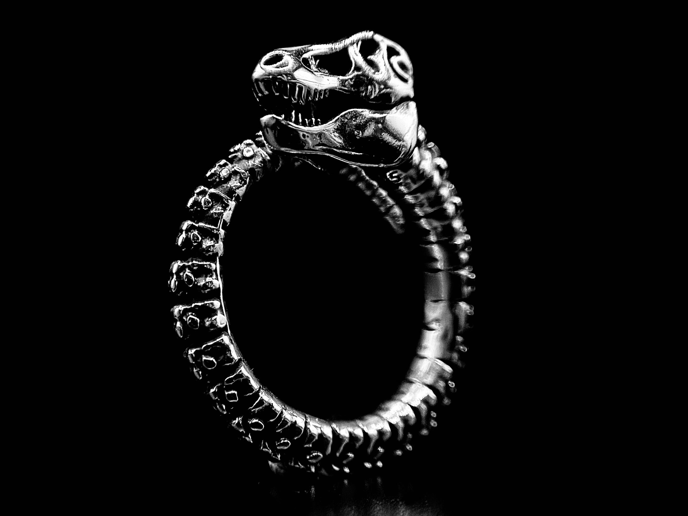 Adjustable T-Rex Fossil Ring Sterling Silver Dinosaur Ring | Etsy