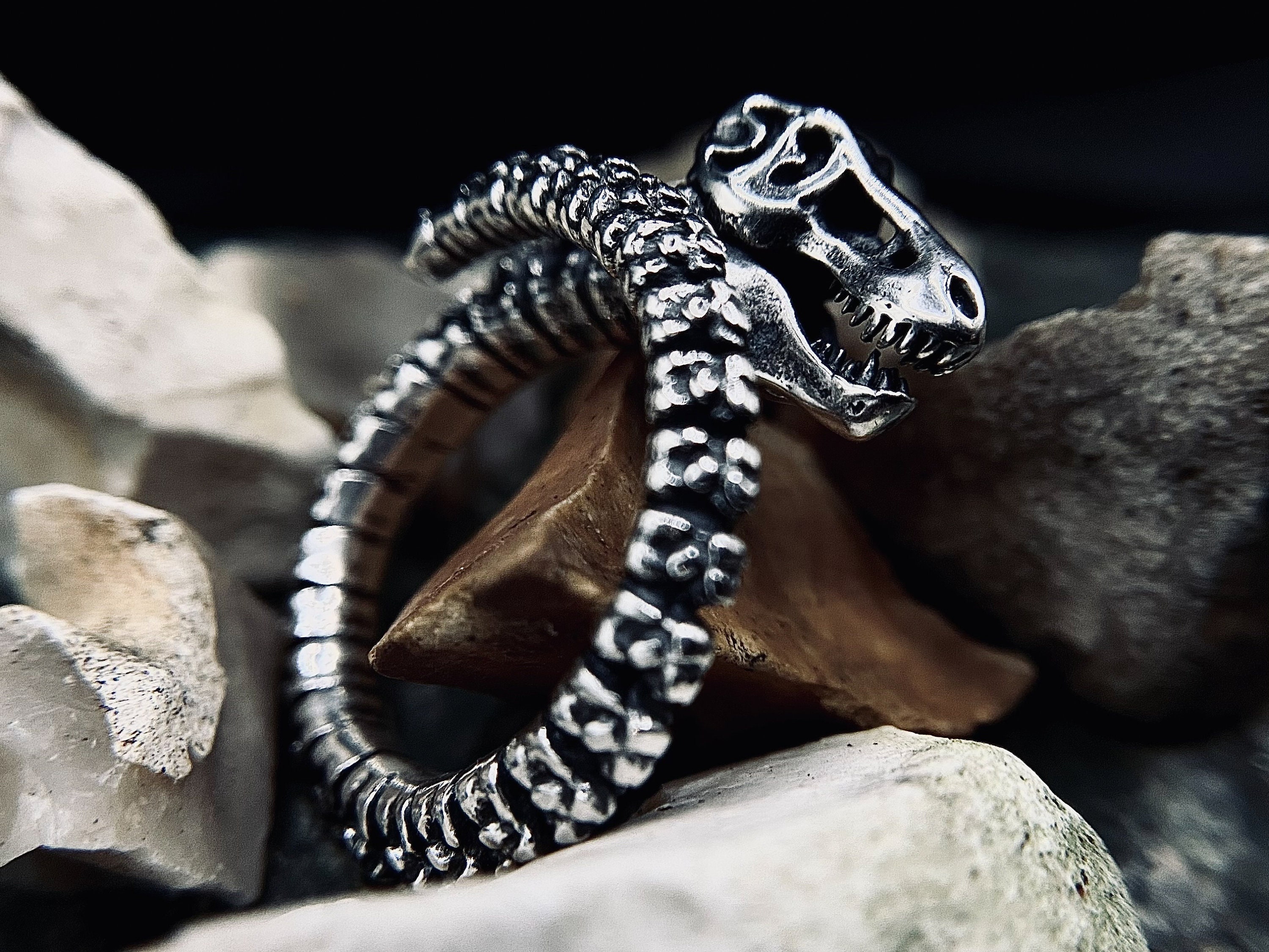 Adjustable T-Rex Fossil Ring Sterling Silver Dinosaur Ring | Etsy