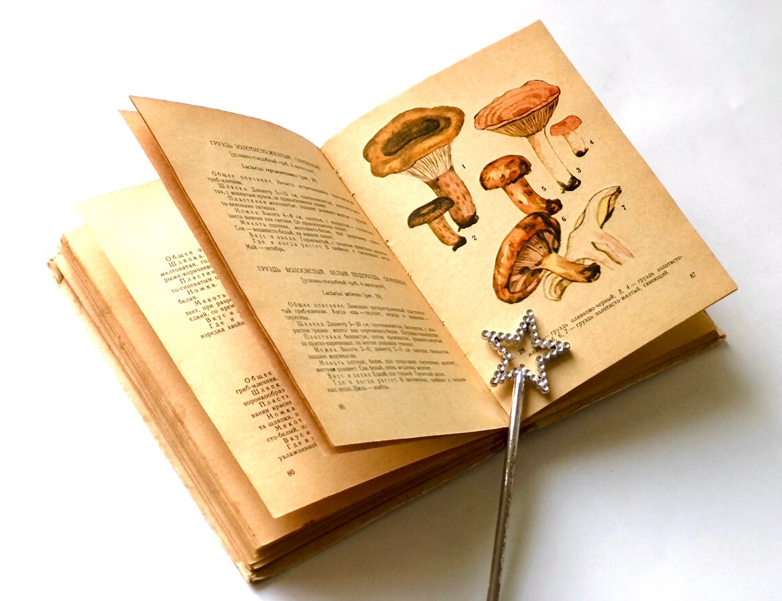 Miniature Mushroom Book Vintage Botanical Illustrations | Etsy