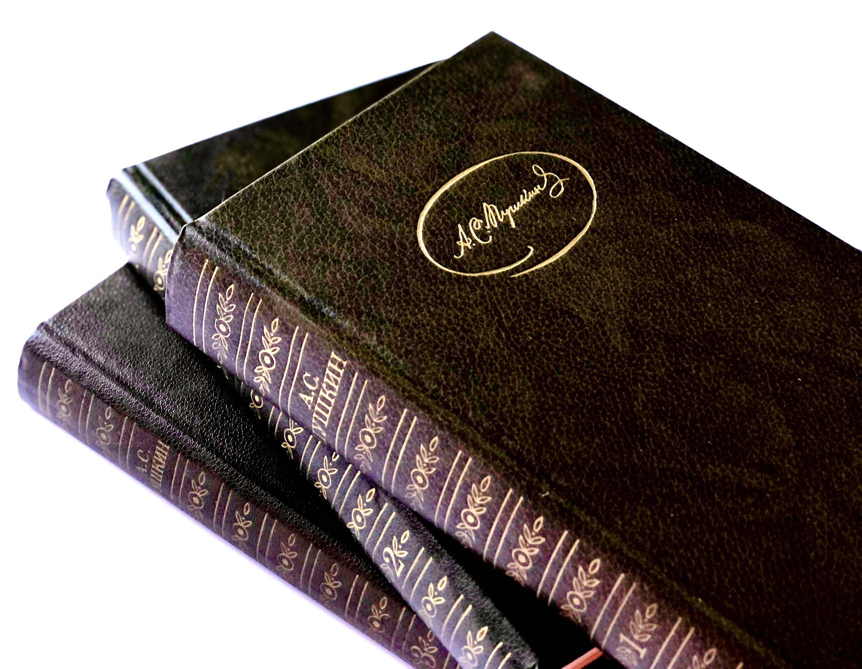 Alexander Pushkin Poetry Book Set in 3 Volumes Library | Etsy